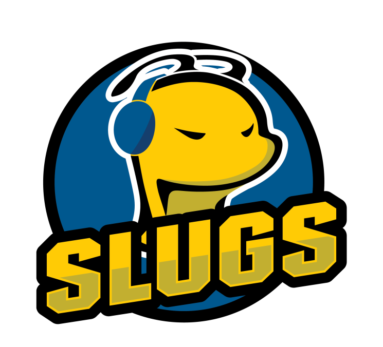 Slug Gaming Website